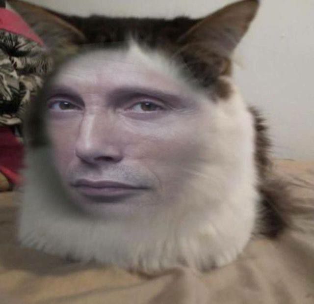 Публикация #5687 — МЕМНЫЕ АВАТАРКИ (@avamemy)